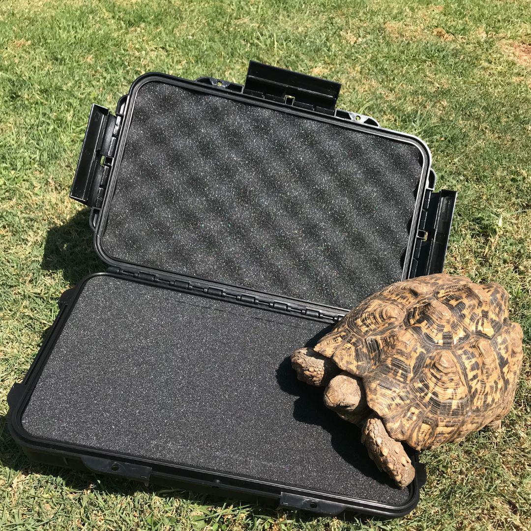 Stage Plus Utility Boxes – BellGear (Pty) Ltd